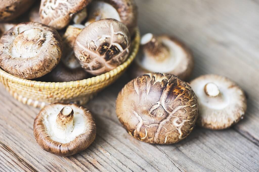Grzyby shiitake - właściwości i zastosowanie | Naturalnie o Zdrowiu