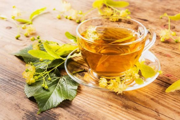 Rodzaje lip – gatunki i zastosowanie | Naturalnie o Zdrowiu