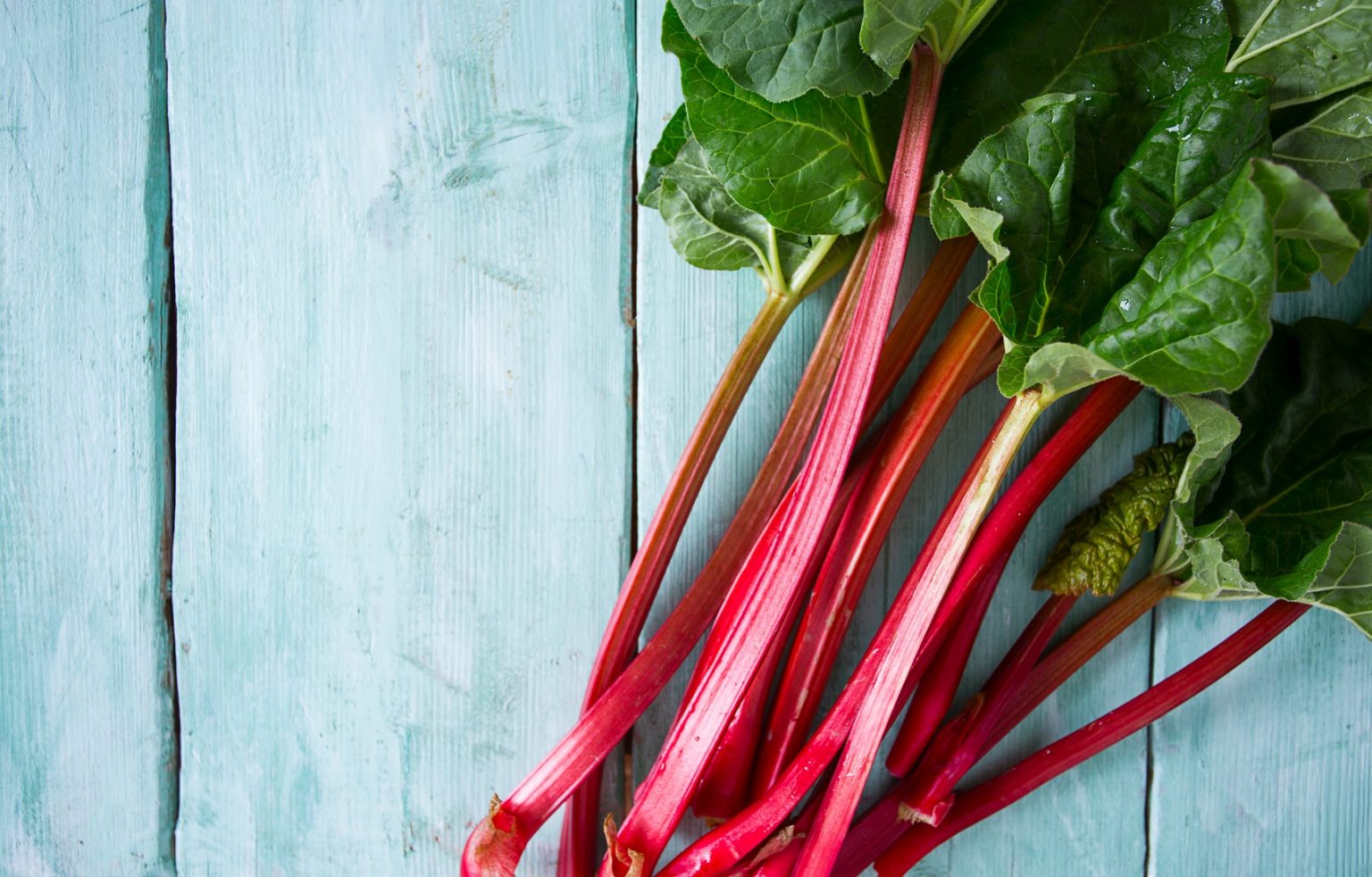 Rabarbar | Przepis na ciasto z rabarbarem | Naturalnie o Zdrowiu